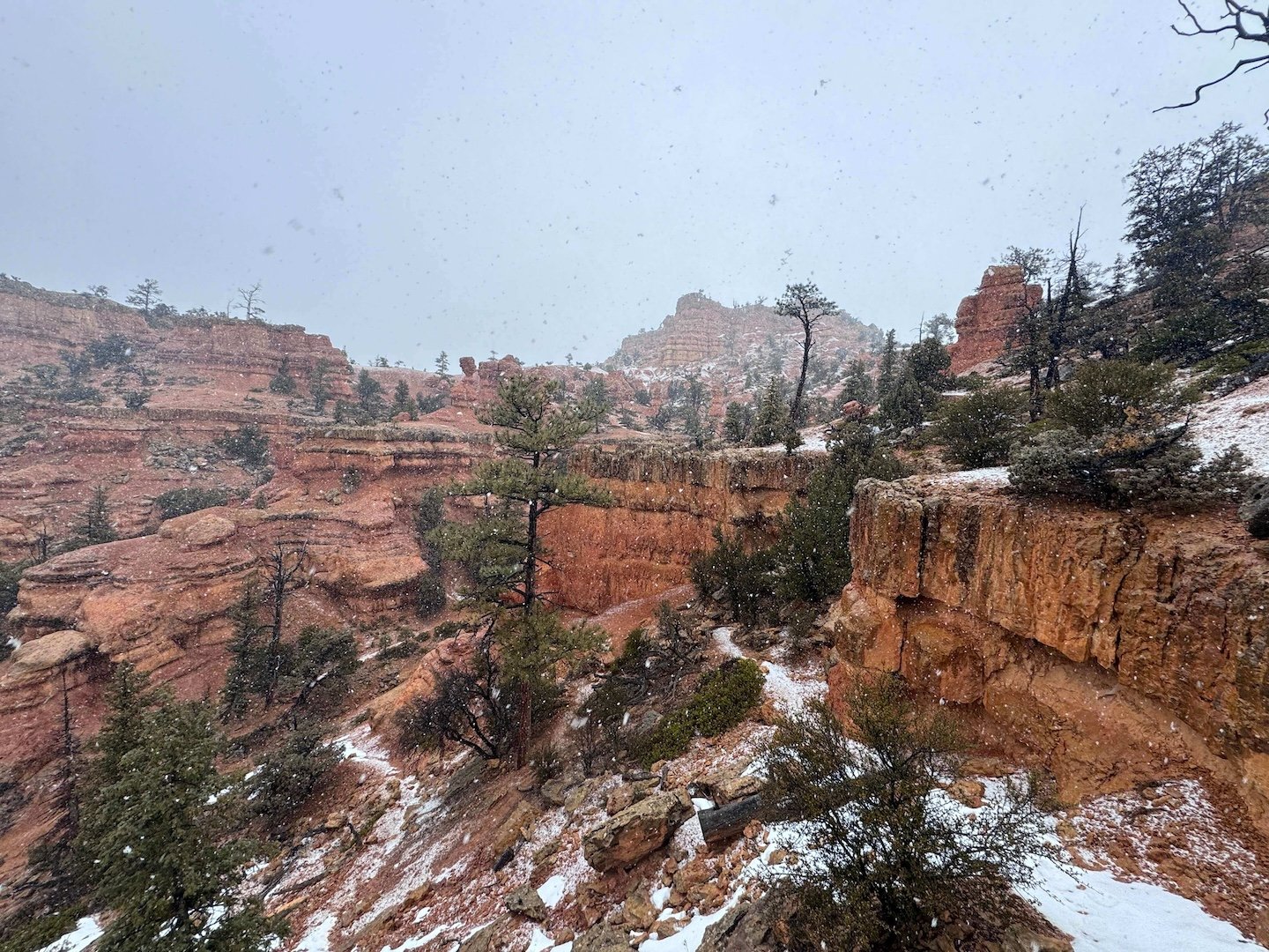 Hiking the Arches Trail | Dixie National Forest Guide