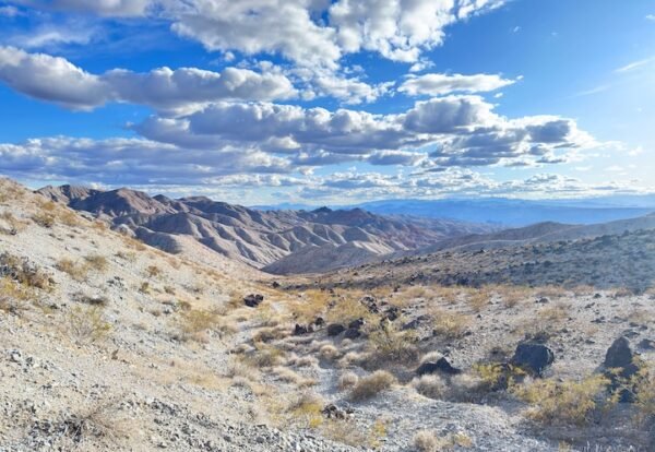 Lake Mead » Unicorn Adventure