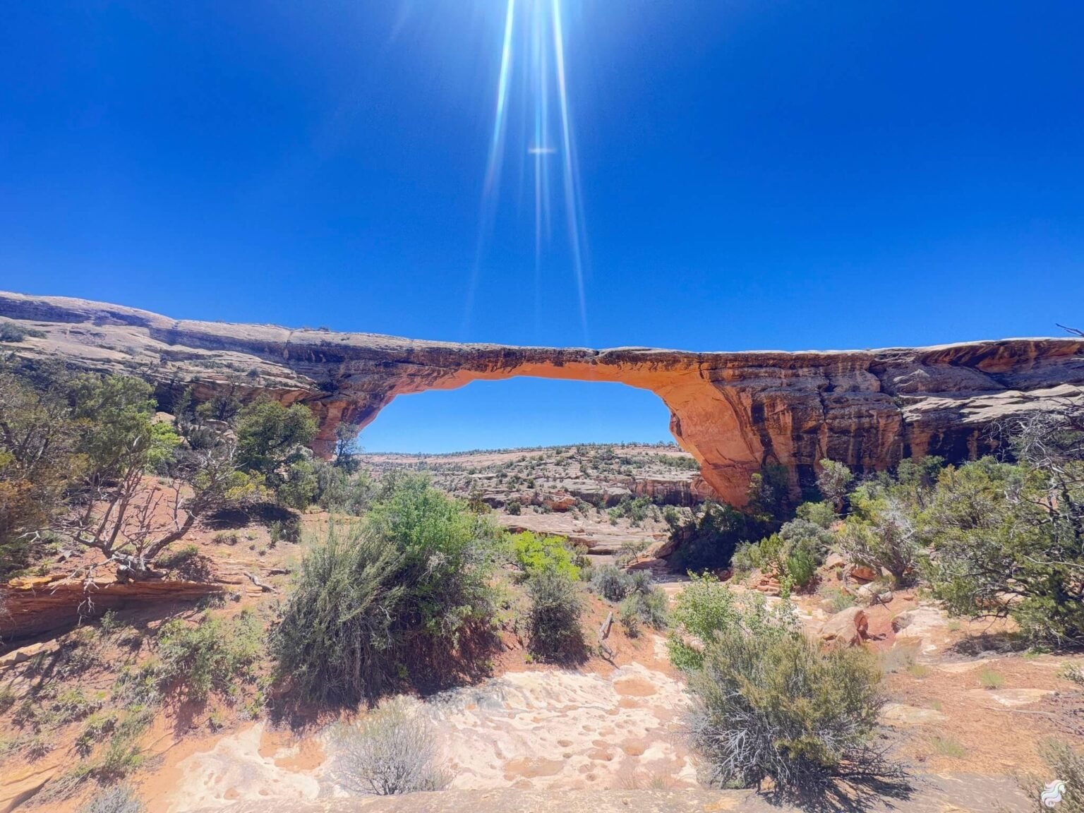 Under the Natural Bridges : Hiking Guide in Blanding, Utah